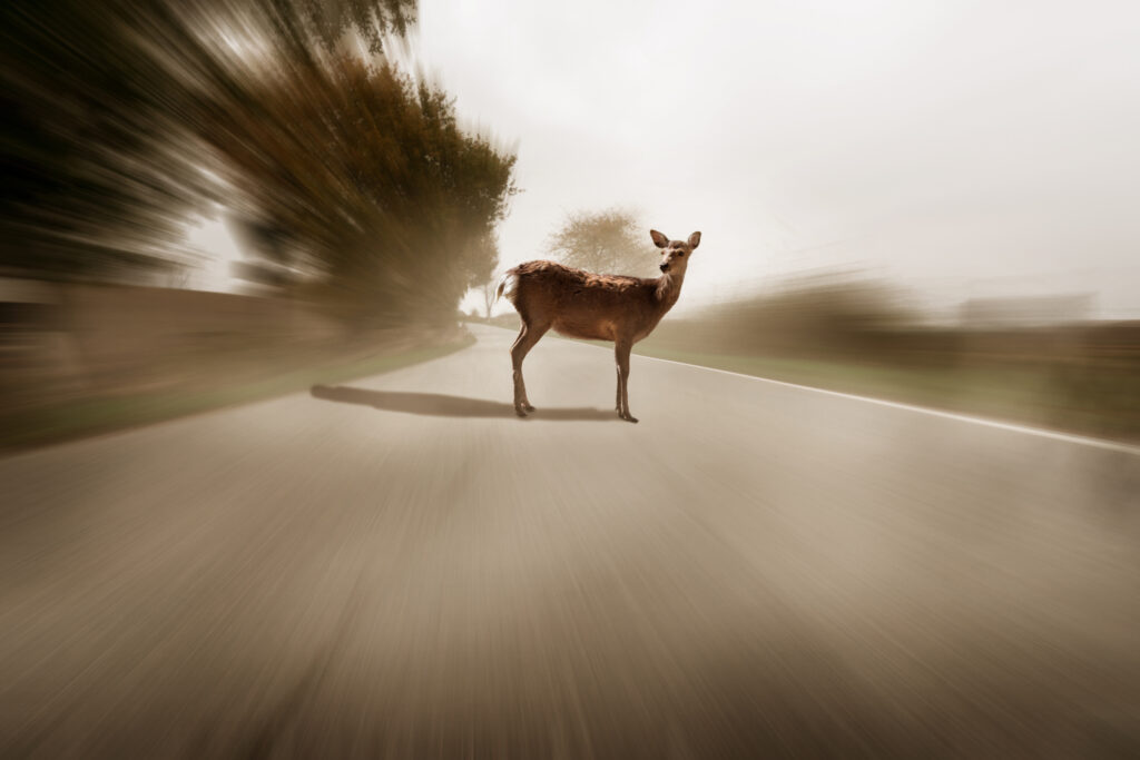 Reaktionsweg: Formel und Bedeutung im Straßenverkehr!